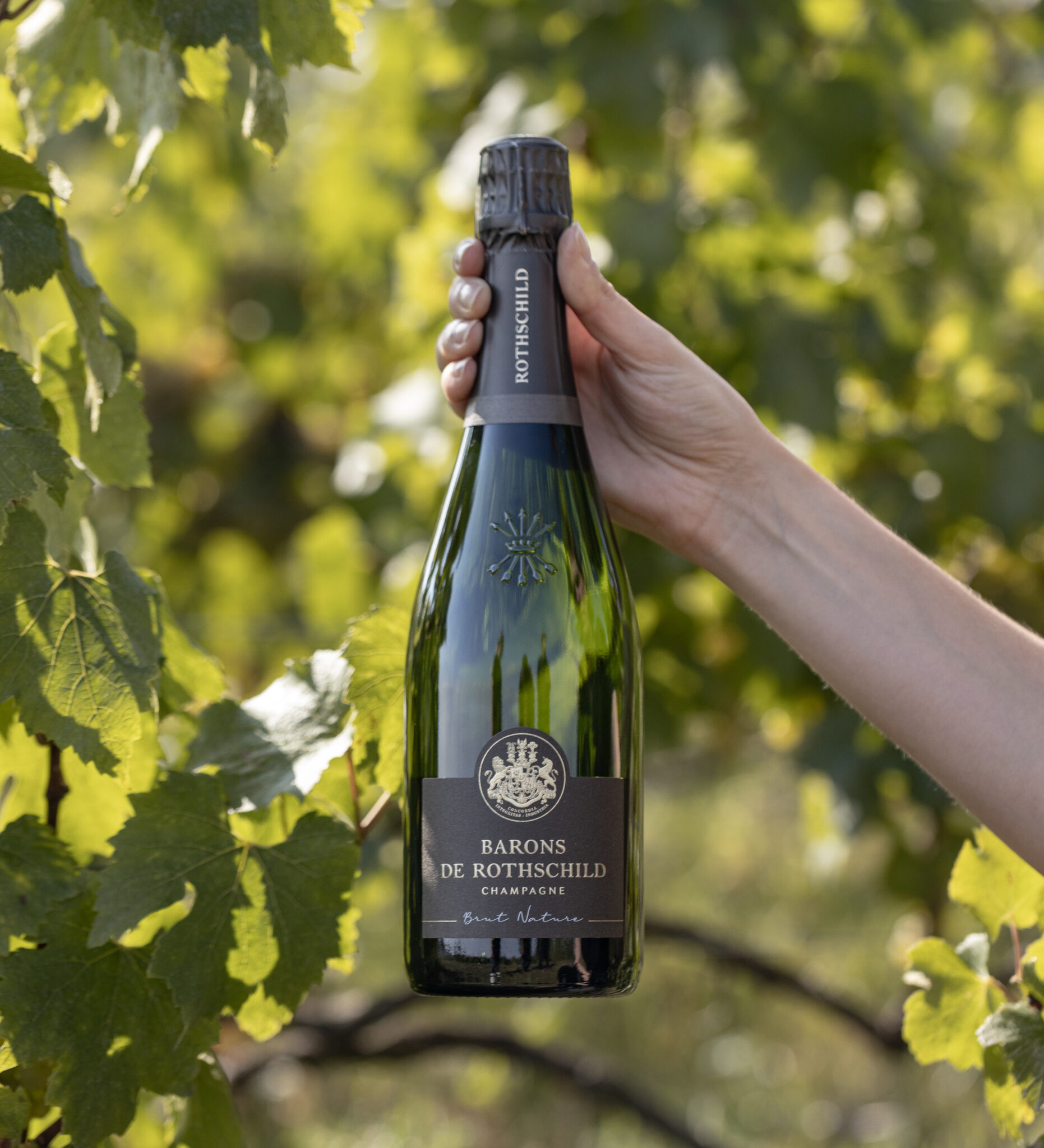 Brut Nature – e-Boutique | Champagne Barons de Rothschild